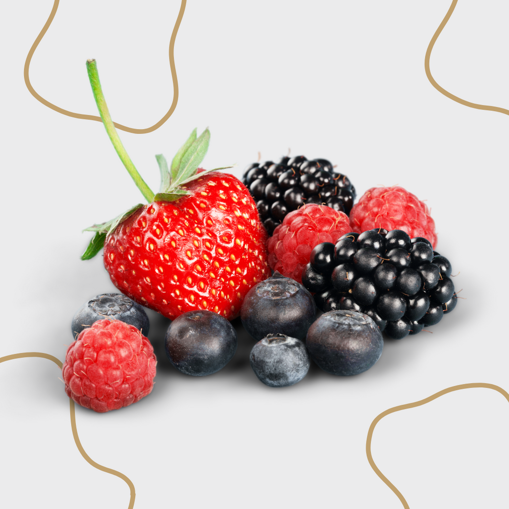 Mixed Fruit (Vimto Flavour) Slush Syrup | Coffee Seller– CoffeeSeller